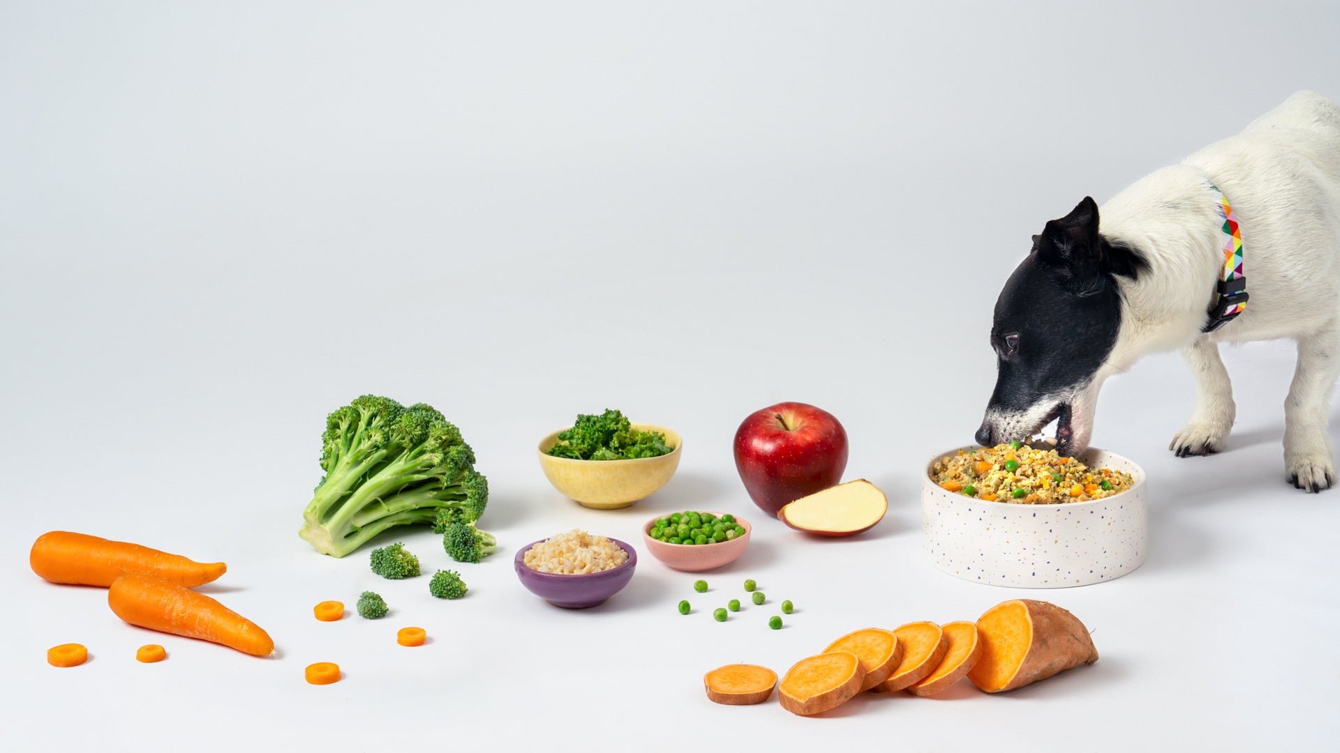 petchef | Φρέσκο μαγειρευτό φαγητό για σκύλους